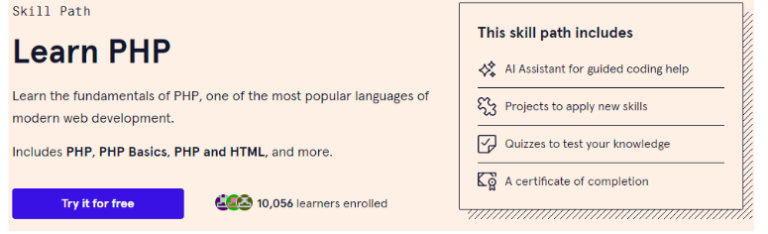 Average Programmer IQ 2025: Score Analysis