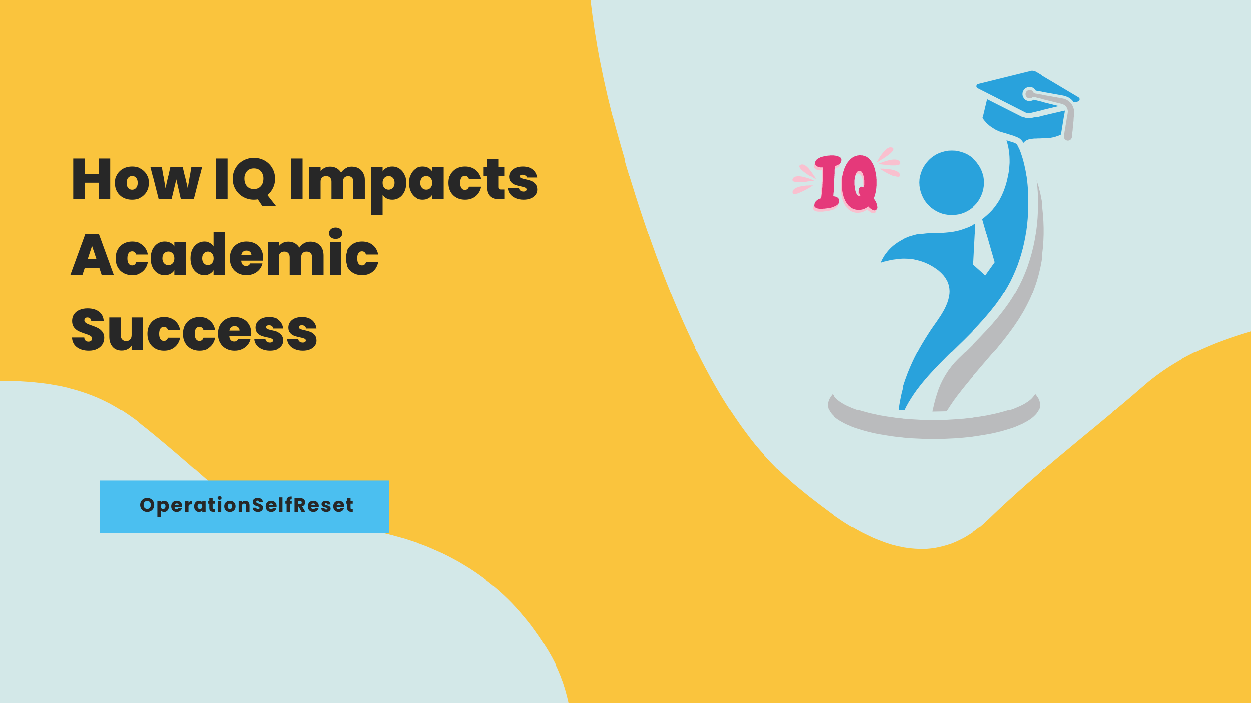 How IQ Impacts Academic Success: Strategies For Students