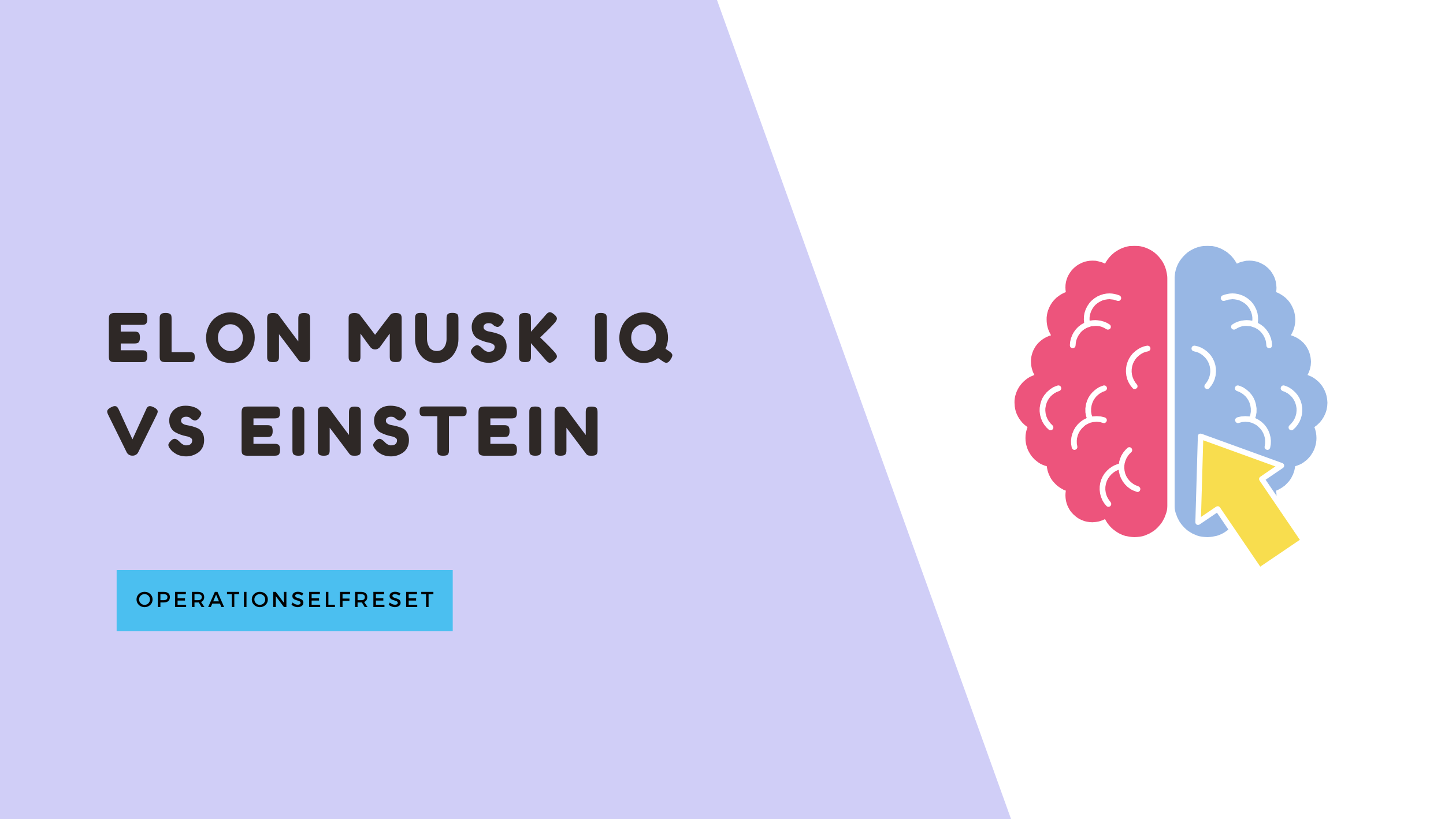 Elon Musk IQ vs Einstein — Who Was Smarter? (Facts)